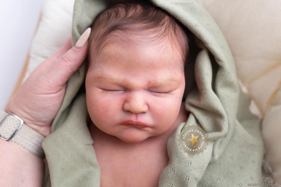 Zachary by Lisa Stone