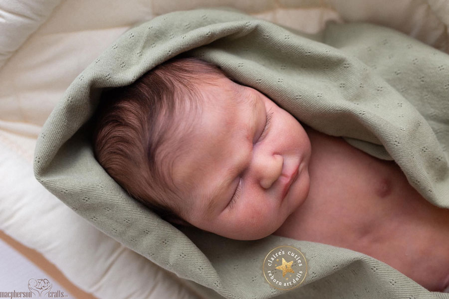 Zachary by Lisa Stone