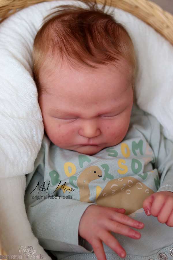 Zachary by Lisa Stone