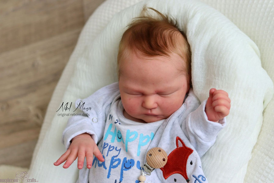 Zachary by Lisa Stone