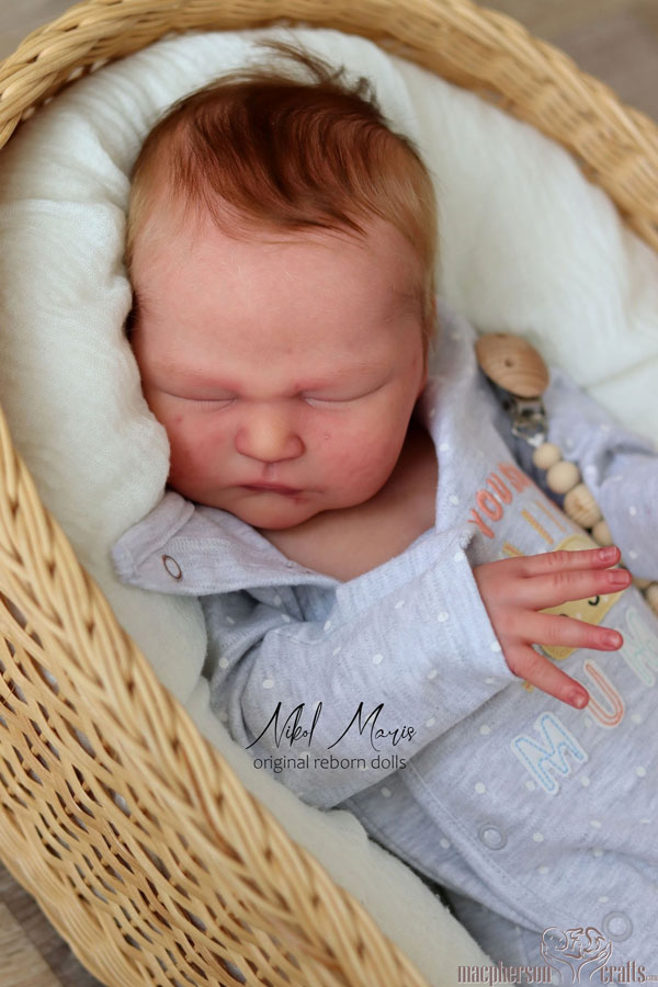 Zachary by Lisa Stone