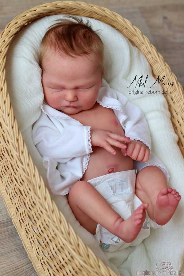 Zachary by Lisa Stone