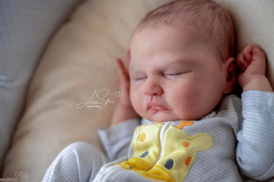 Zachary by Lisa Stone