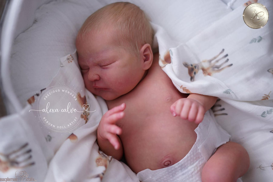 Zachary by Lisa Stone