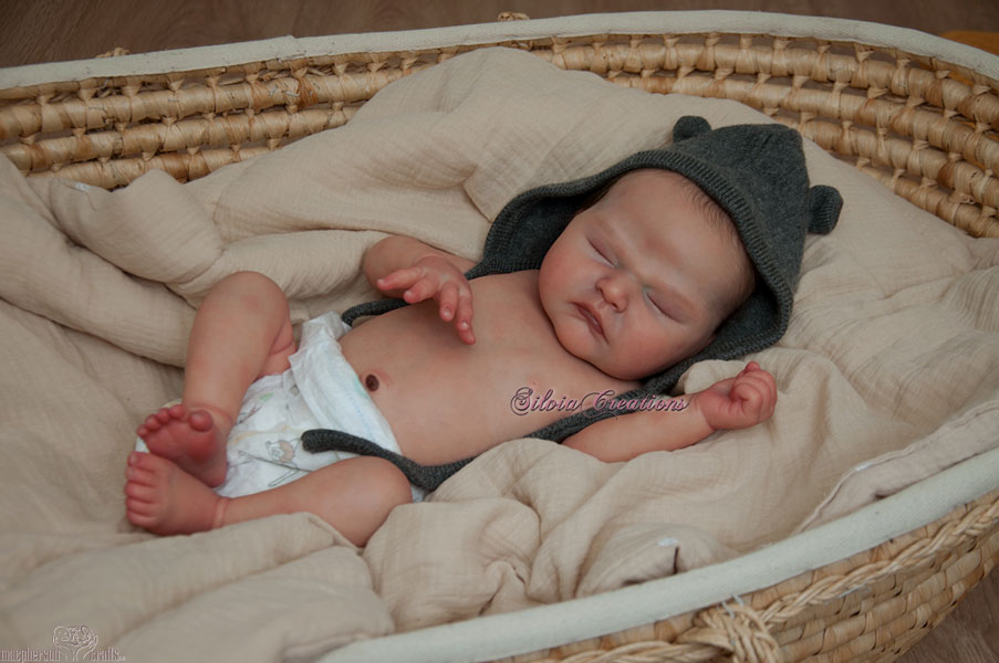 Zachary by Lisa Stone