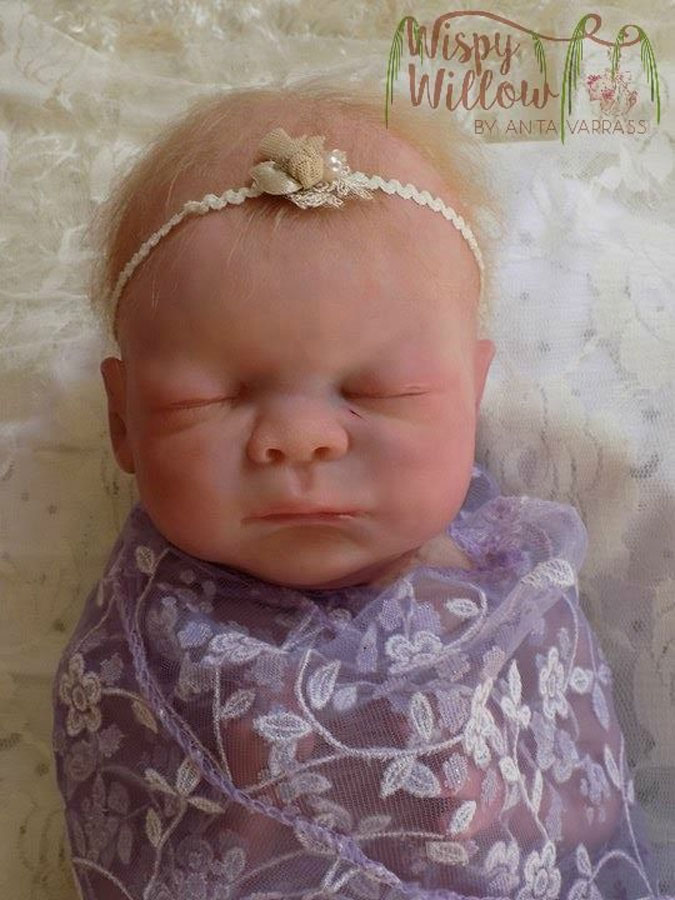 Zander by Toby Morgan