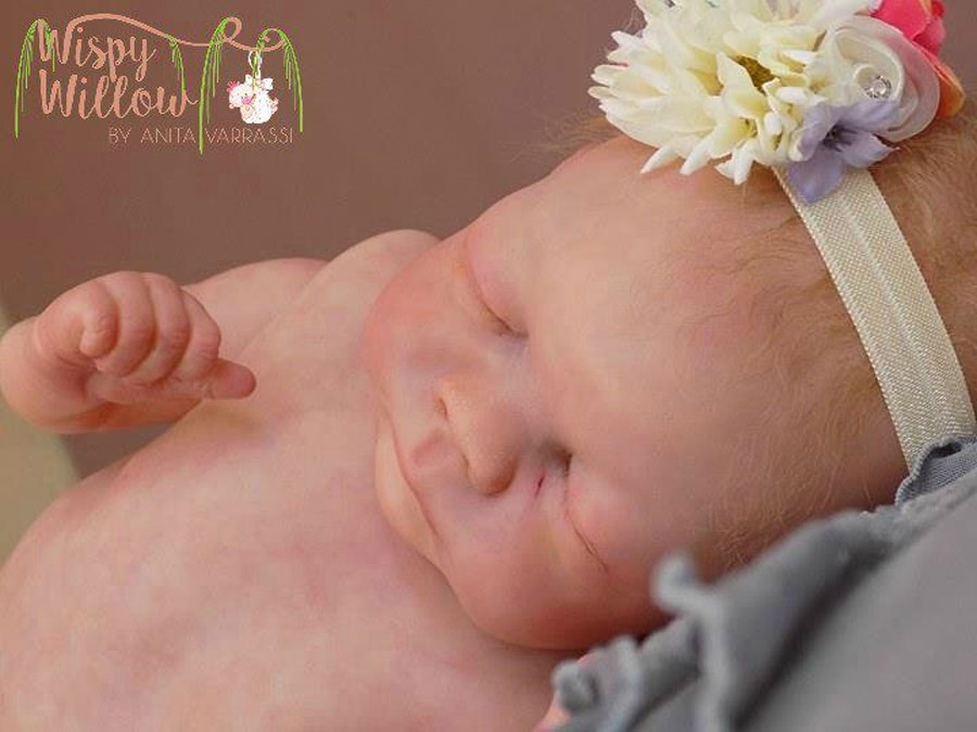 Zander by Toby Morgan