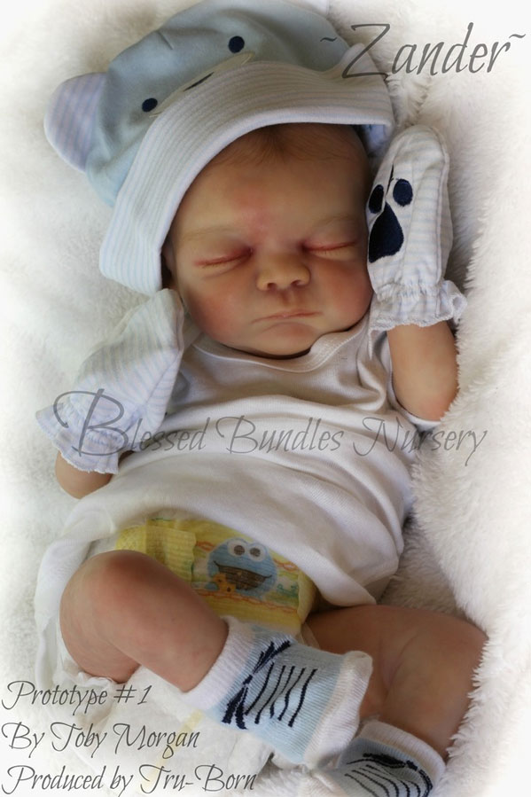 Zander by Toby Morgan