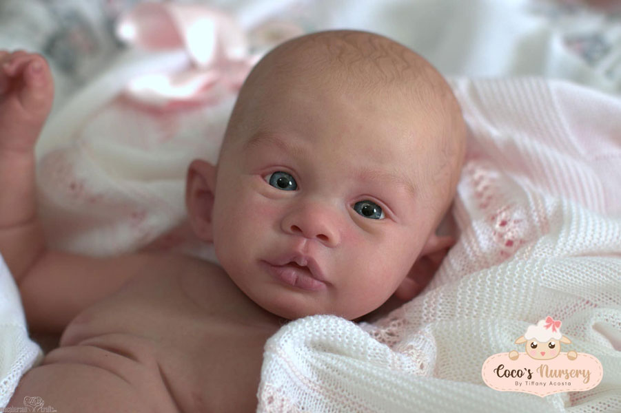 Zipporah by Andrea Arcello