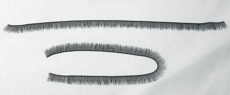 Eyelashes: Eye Lash Strip~Black