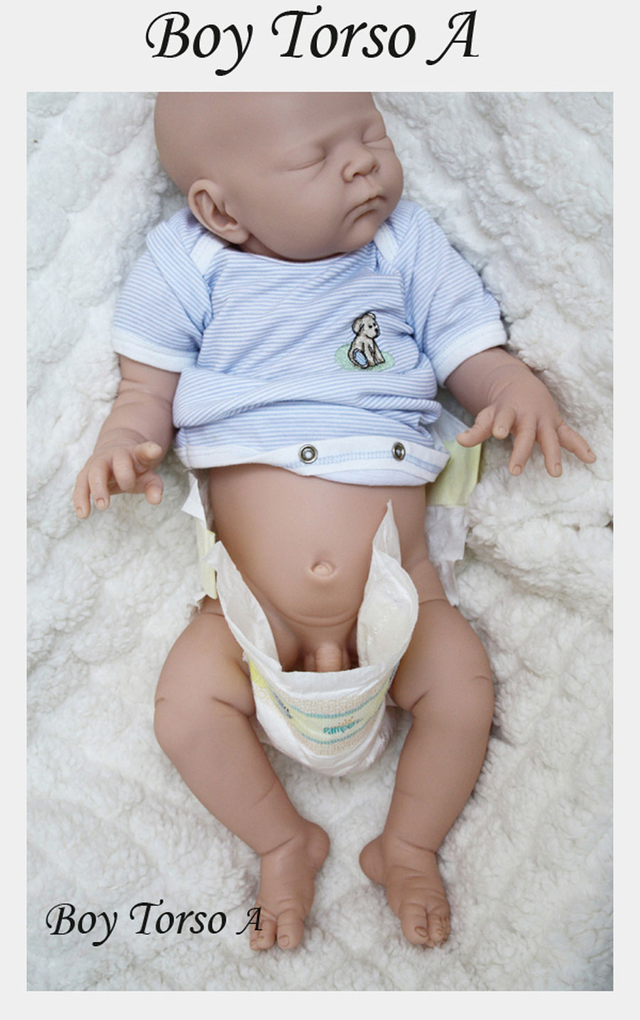 Adrie Stoete Boy Torso - Option A