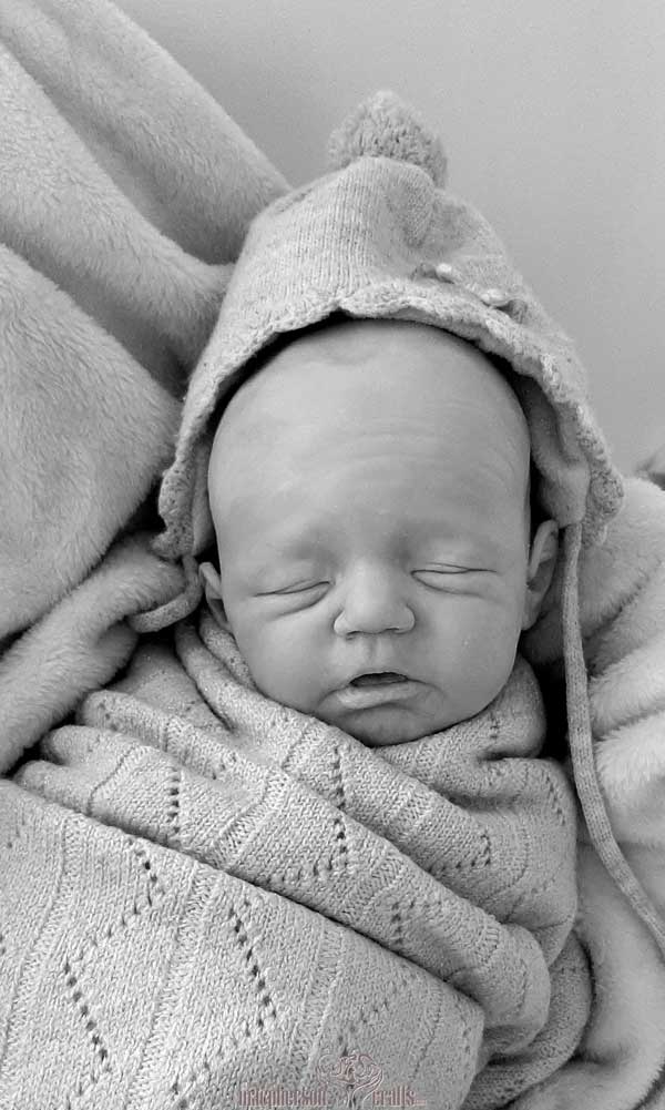 Noa by Severine Piret