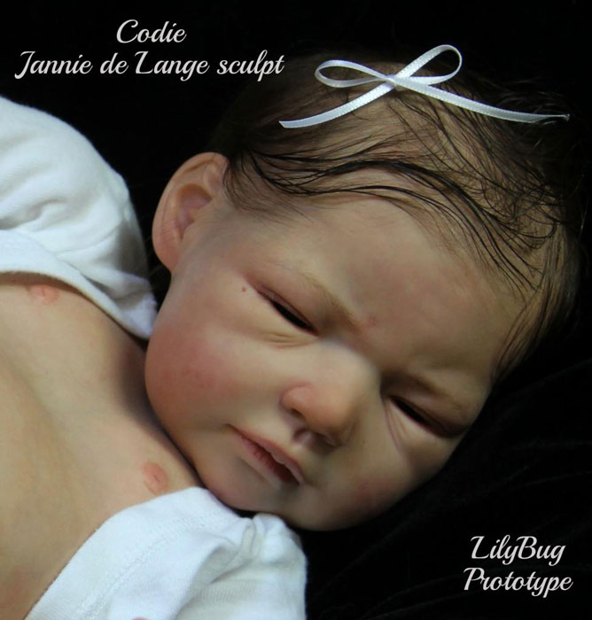 Codie by Jannie de Lange