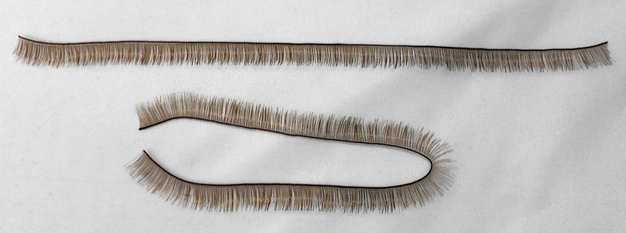 Eyelashes: Eye Lash Strip~Dark Brown