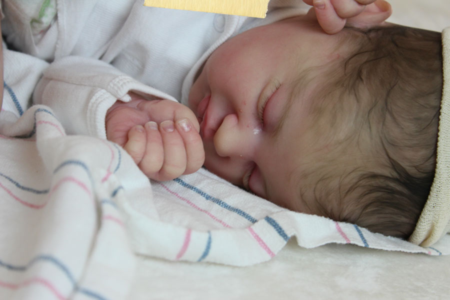 Kami-Rose by Laura Lee Eagles