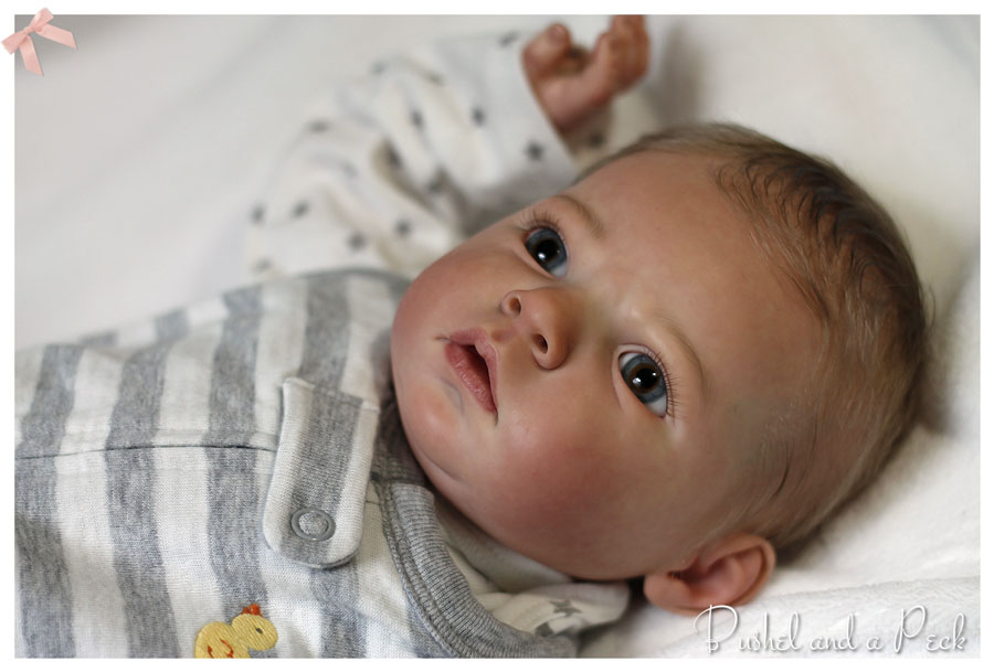 Sabrina by Reva Schick