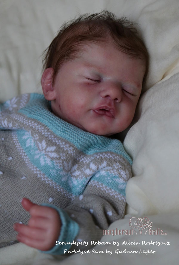 Sam by Gudrun Legler