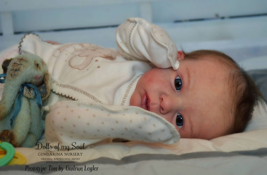 Tim by Gudrun Legler