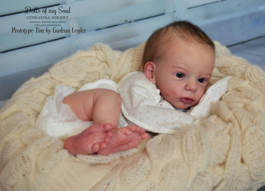 Tim by Gudrun Legler