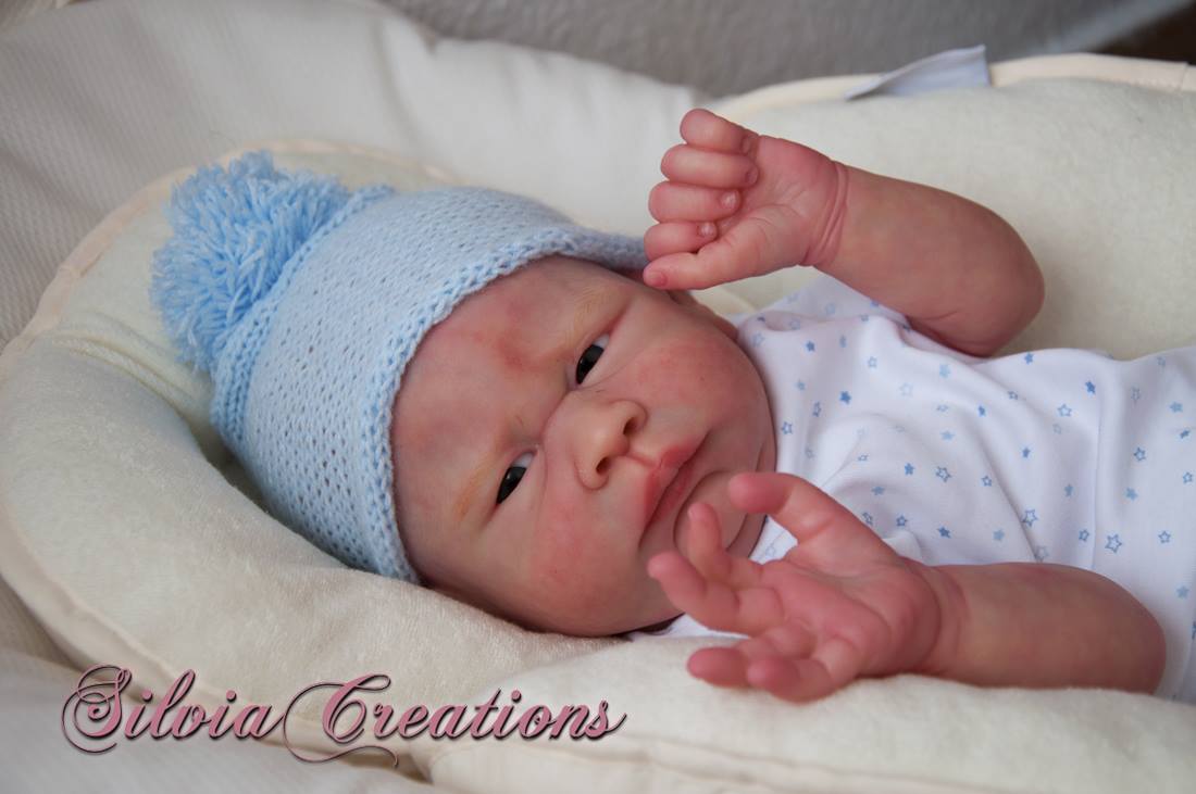 Tomas by Jorja Pigott