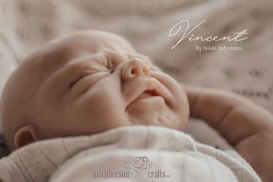 Vincent by Nikki Johnston